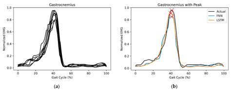 Sensors Free Full Text Estimation Of Lower Extremity Muscle