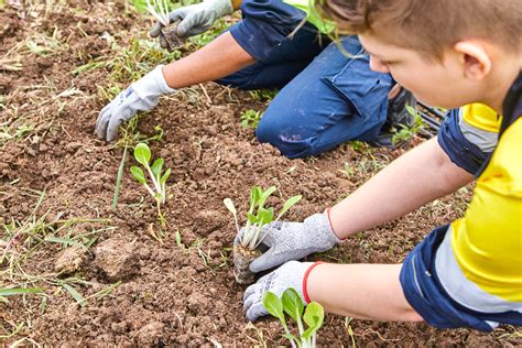 Contact Green Connect