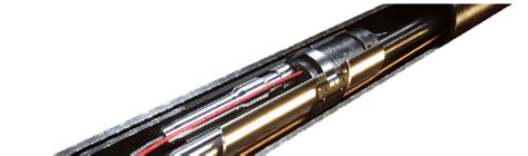 Esp Dual And Bypass Systems