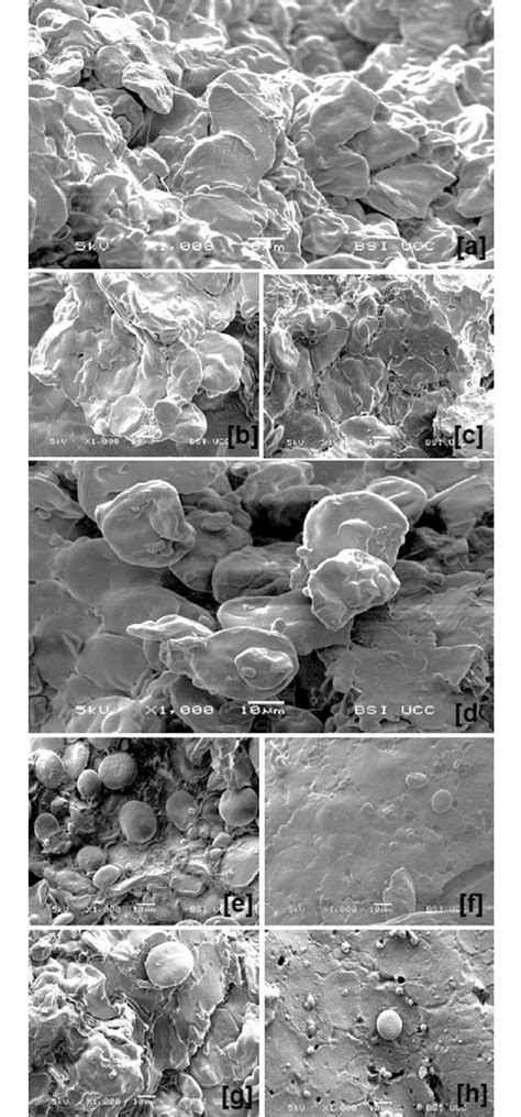 What Is A Crumb Structure At Gloria Moreno Blog