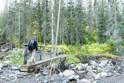 Healy Pass Trail In Banff National Park Travel Banff Canada