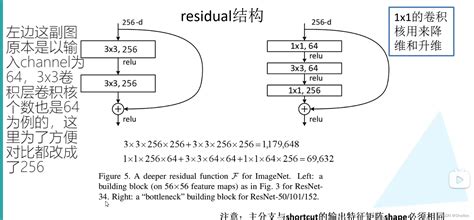 第3周学习：resnet resnext resnext参数量计算 csdn博客