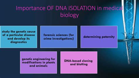 intro dna extraction pdf