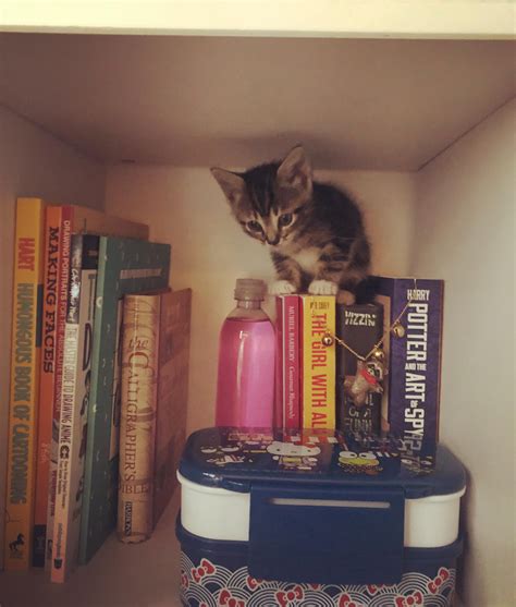 Marnie Finds Her First Favorite Spot Scrolller
