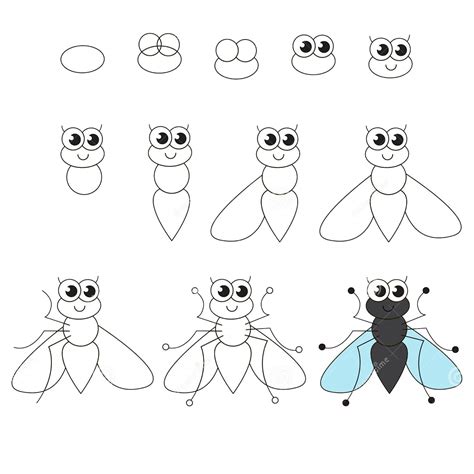 20 Easy And Cute Fly Drawing Ideas Drawing Photos