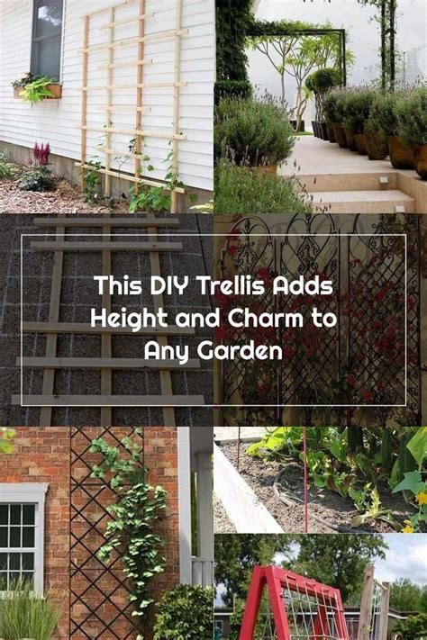 Trellis This DIY Trellis Adds Height And Charm To Any Garden Diy Trellis Trellis Outdoor