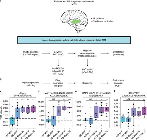 Combined Phosphoproteomics And Proteomics Analysis Captures The Download Scientific Diagram