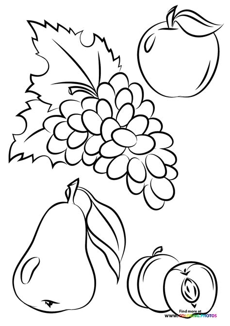 Раскраски для детей 3 лет осень распечатать найдено 90 картинок