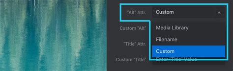 Slider Revolution Manual Configuring The Background Layer