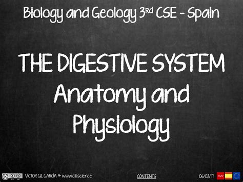 The Digestive System Anatomy And Physiology Biology And Geology 3rd