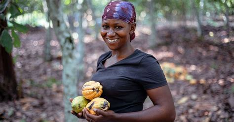 How Were Supporting Cocoa Farmers Through Agroforestry Unilever