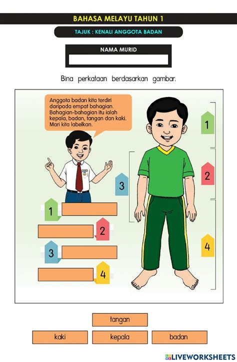 Kenali Anggota Badan Live Worksheets