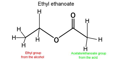 Ester Functional Group Examples