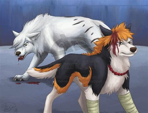 Anime Wolves Fighting