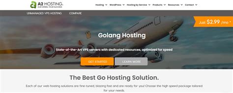 7 Best Golang Hosting Providers Jun 2025