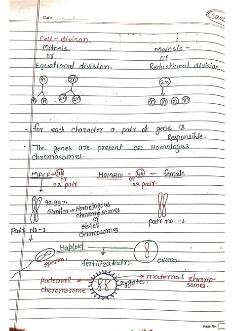 Solution Cell Cycle Notes Studypool