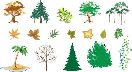 Trees Vector Series Free Vector Download FreeImages