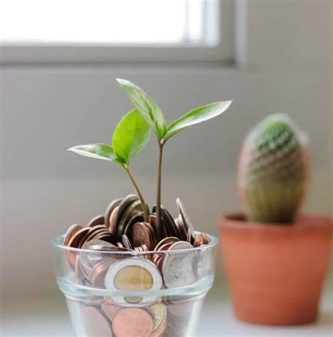 Trustpilot Widgets Trustbox Widgets Product Features Trustpilot Business