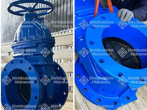 Válvulas De Compuerta Categorias Construex México