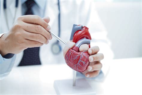 Types Of Myocardial Infarction A Guide To Heart Attack