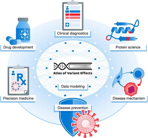 An Atlas Of Variant Effects To Understand The Genome At Nucleotide