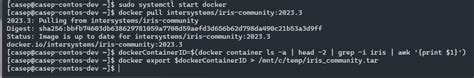 Running Iris Community Docker Image As A Wsl 2 Machine Intersystems