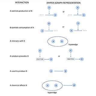 Conversion Of The SIF Format Interactions Into A Hyper Graph Structure Download