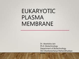 Plasma Membrane PPT
