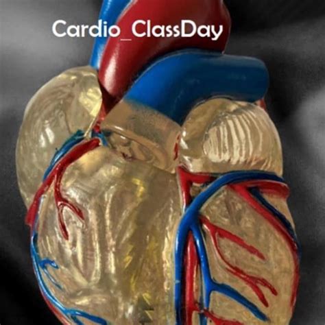 Cardio Classday Home