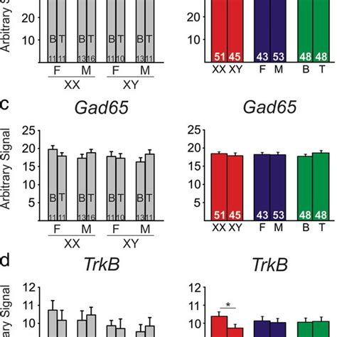 The Effects Of Sex Related Factors On Expression Of Gaba And The Effects Of Sex Related Factors On Expression Of Gaba And