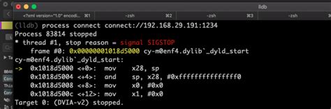 A Guide To Advance Debugging And Optimization With Lldb