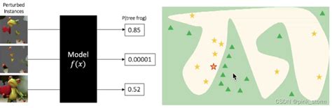 [可解释机器学习]task06：lime算法学习 csdn博客