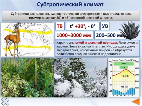 Климатические пояса мира презентация онлайн