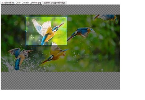 Image Upload And Crop Script Freelancer