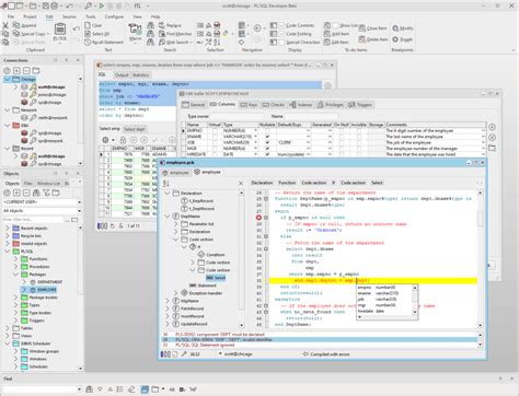 pl sql developer microway