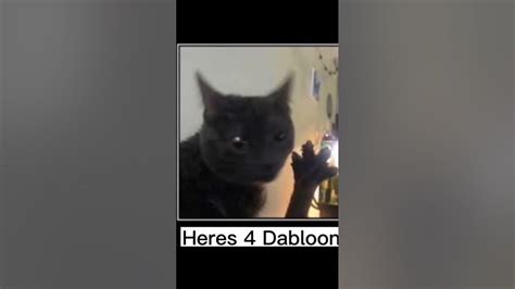 Dabloons4dabloonscatdoubloons Youtube