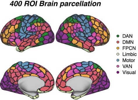 Figure 1 From Segregation Of Functional Networks Is Associated With Cognitive Resilience In