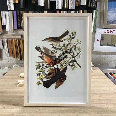 Khung Tranh Gi R Ti Qun Acng