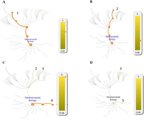 Reactome Pathways Associated With Development Biology In Ad Patients Download Scientific