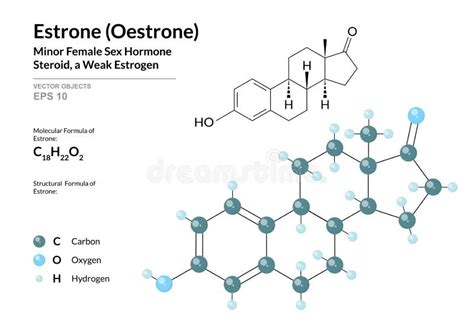 Estrone Oestrone Human Estrogen Hormone Molecule Atoms Are Represented As Spheres With