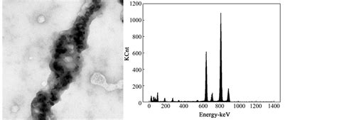 Factors Affecting The Reductive Properties Of The Core Shell Sio2