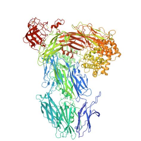 Gene P01031 Protein C5 Overview Cansarai
