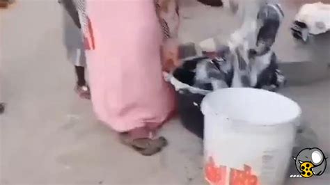 دهه ۶۰ ترک میکنن اینو کاملا فیلو