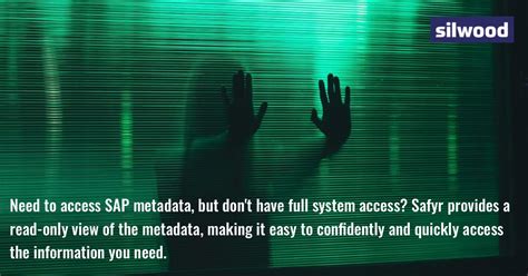 Need To Access Sap Metadata But Dont Have Full System Access Silwood Technology Limited