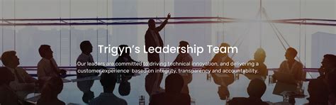 Trigyns Leadership Team