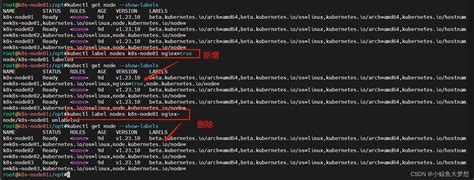 k8s 进阶实战笔记 scheduler 调度策略总结 kubernetes schedule 调度策略 csdn博客