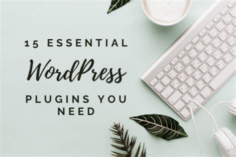 Essential WordPress Plugins You MUST HAVE ShegoWandering