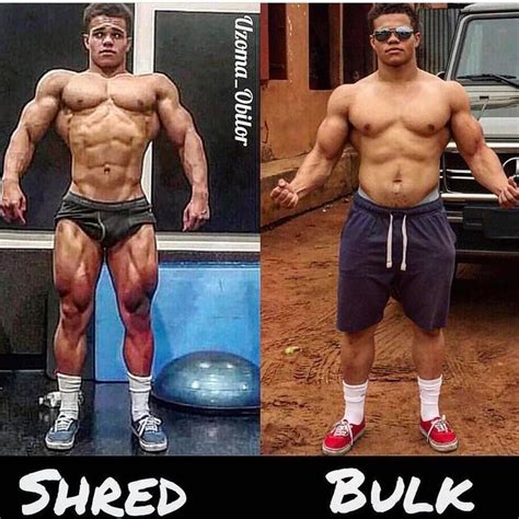 Getting Shredded Vs Bulk At Anna Crace Blog