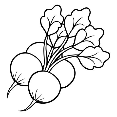 Radishes Vegetable Outline Coloring Book Page Line Art Drawing