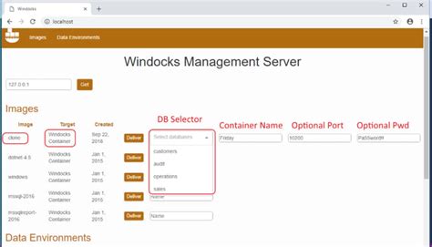 SSRS Scale Out with Standard Edition Containers